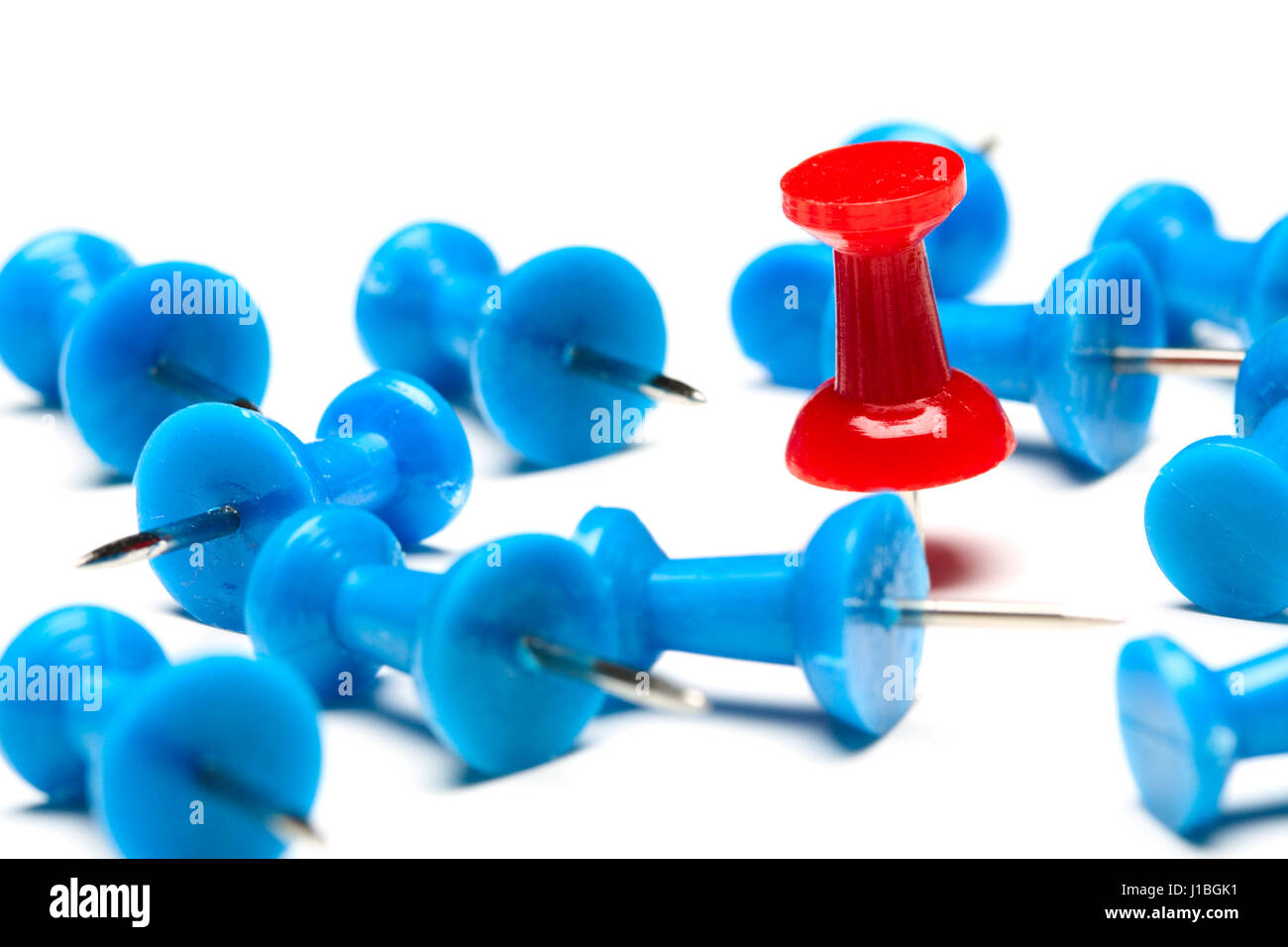 A red push pin among blue push pins (concept of winning Stock Photo - Alamy