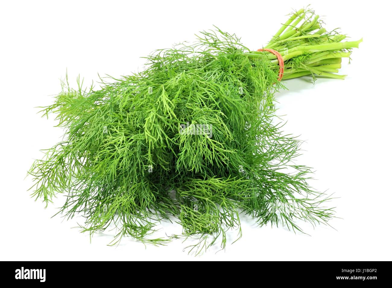 bunch of dill isolated on white background Stock Photo - Alamy