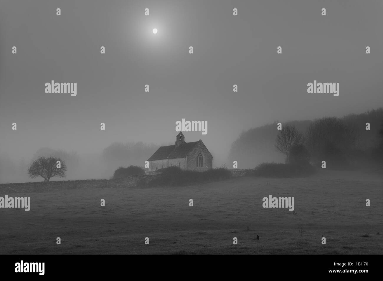 Spooky moonlight Black and White Stock Photos & Images - Alamy