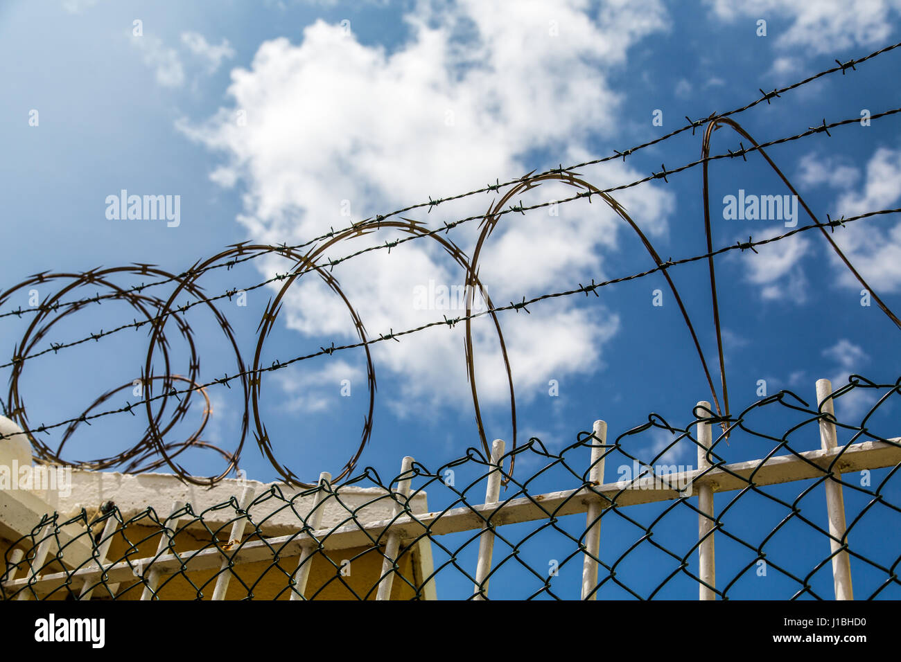 Coils of Razor Wire on Chain Link Fence Stock Photo - Alamy