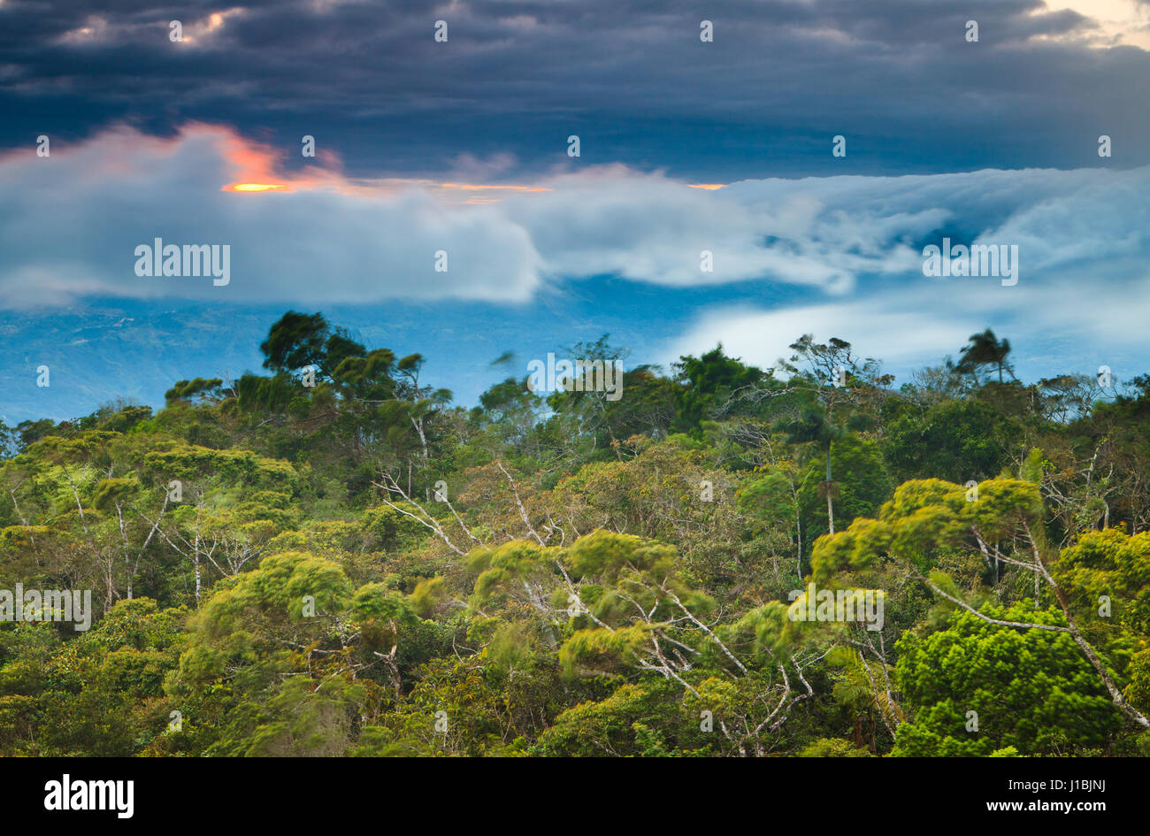 Panama landscape with cloudforest in evening in Altos de Campana ...