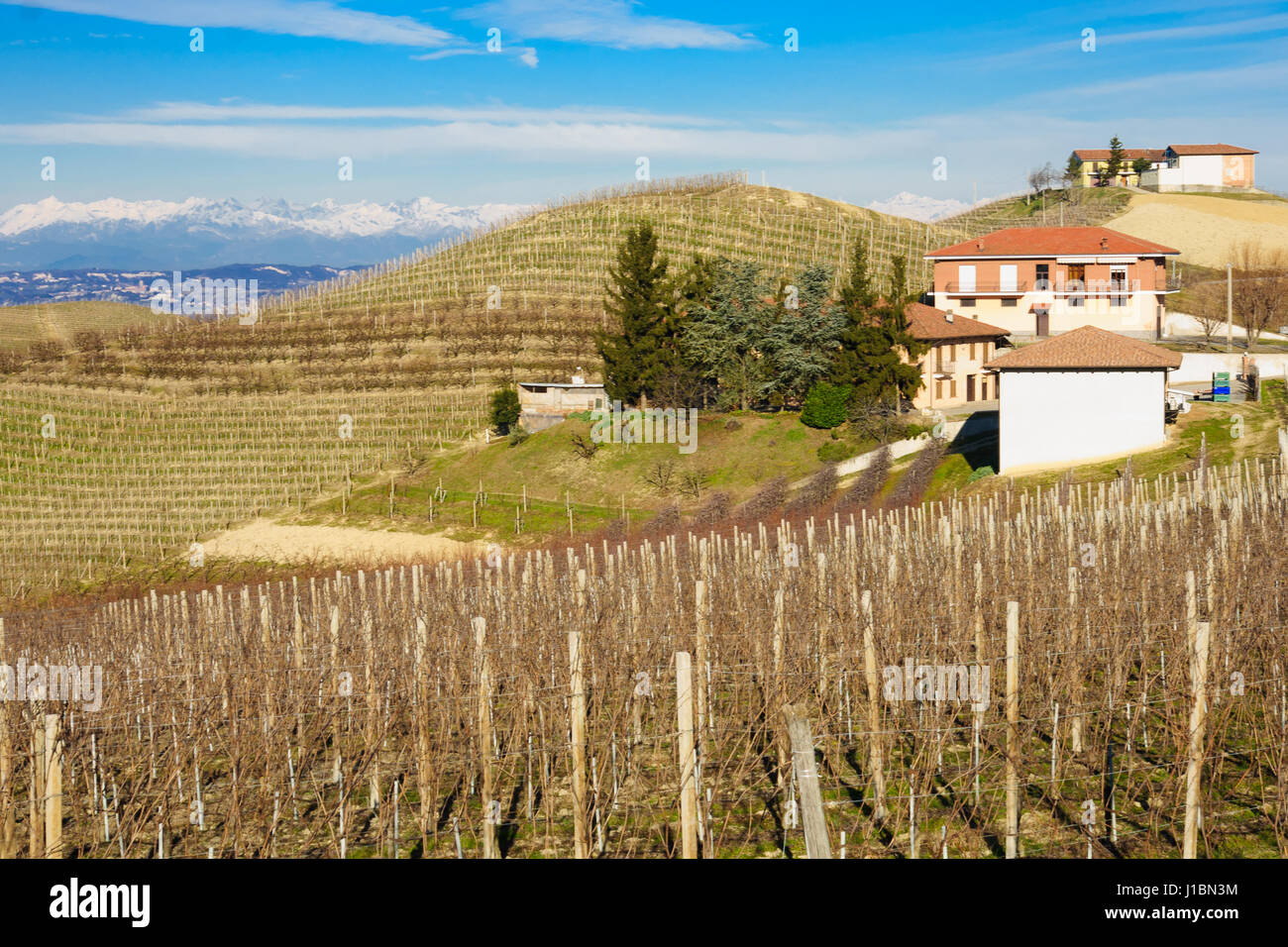 Italian countryside of fields and vineyards in the winter. The Langhe ...
