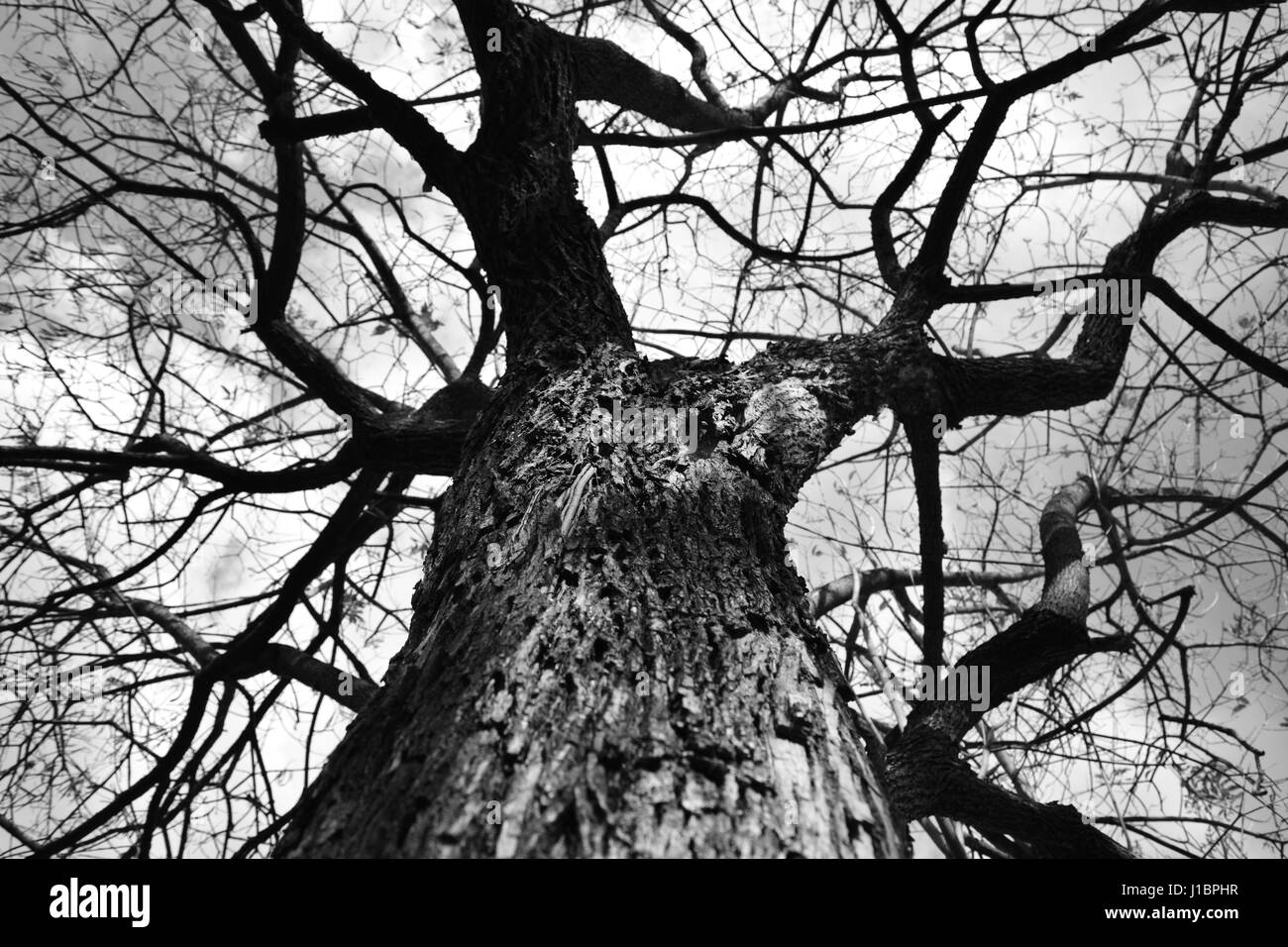 Black High Resolution Stock Photography and Images - Alamy