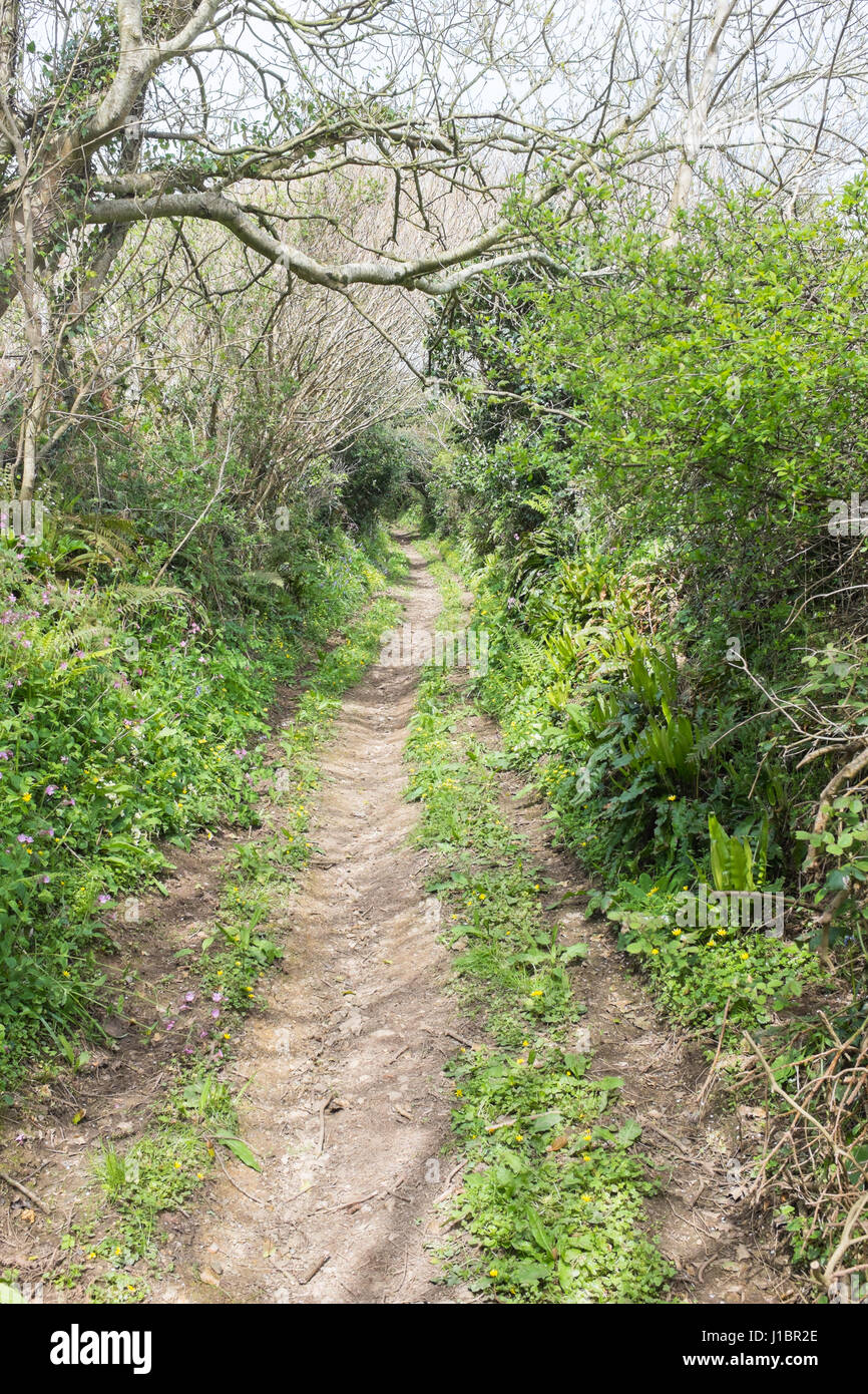 Public bridleway hi-res stock photography and images - Alamy