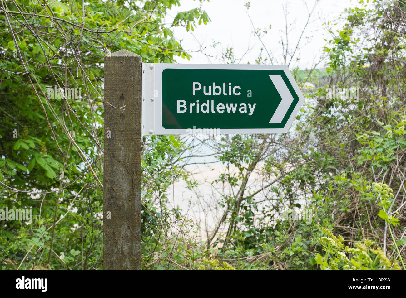 Devon pathway hi-res stock photography and images - Alamy