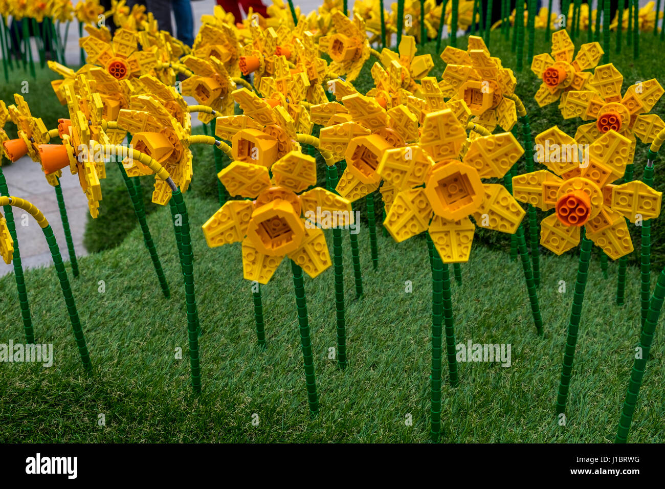 Display of Lego Daffodils in Hull City of Culture 2017 Stock Photo - Alamy