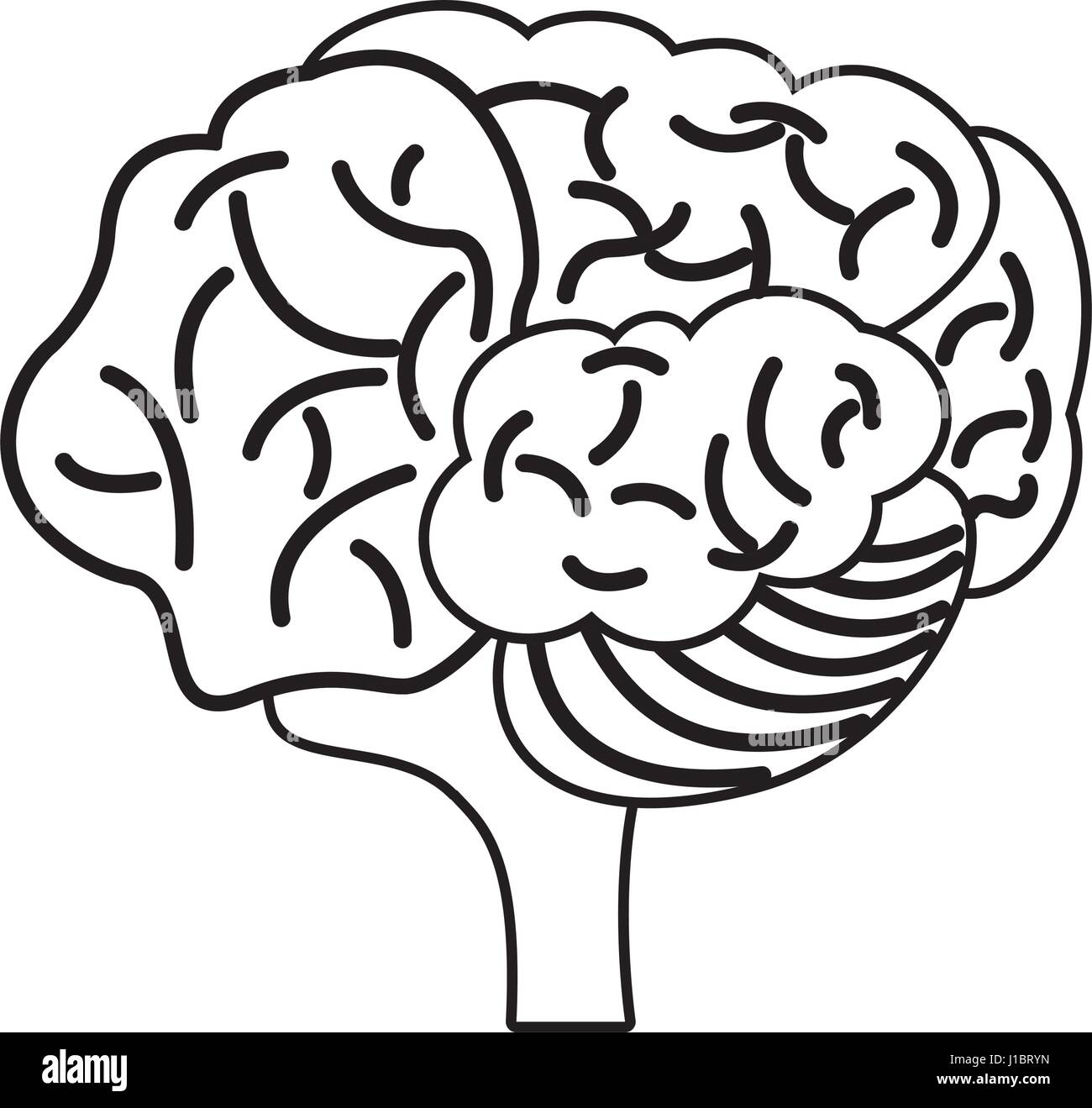brain mind mental outline Stock Vector Image & Art - Alamy