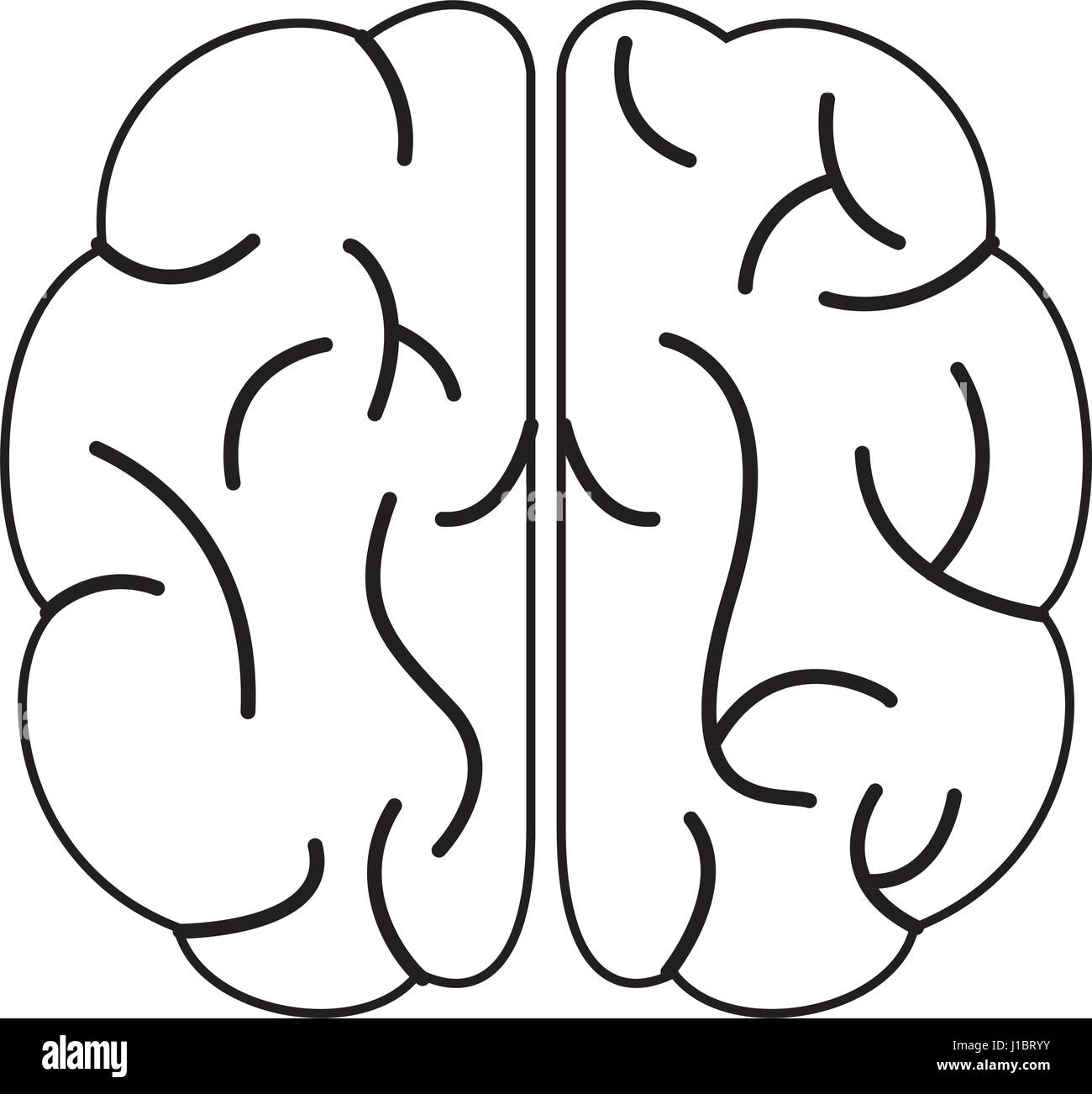 Brain icon top view Stock Vector Images - Alamy