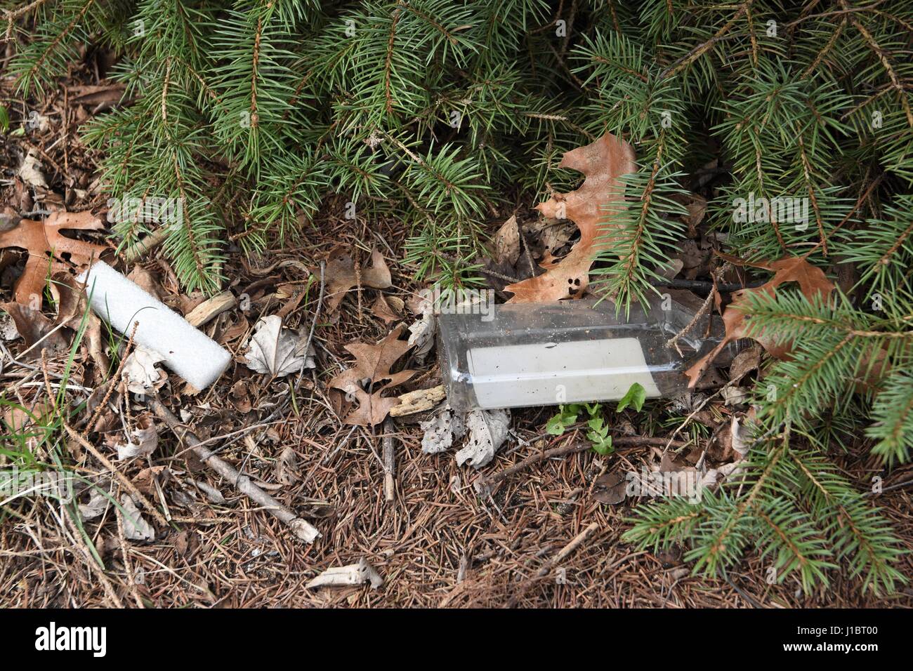 Trash under tree hi-res stock photography and images - Alamy