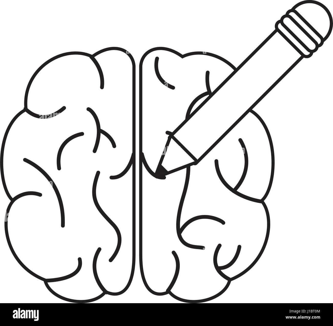 brain pencil learning outline Stock Vector Image & Art - Alamy