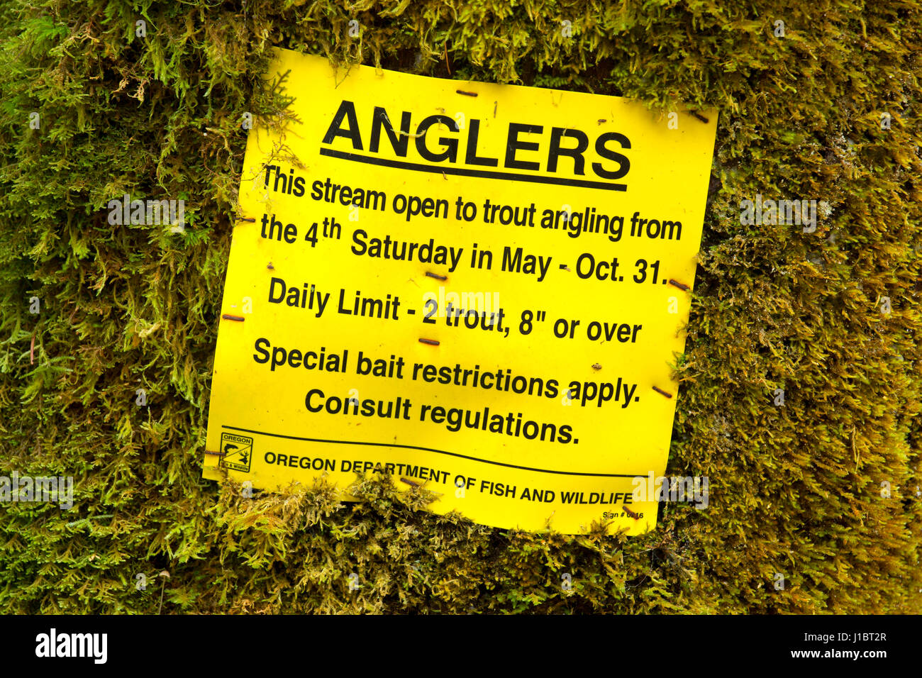 Rules regulation united states hi-res stock photography and images - Alamy
