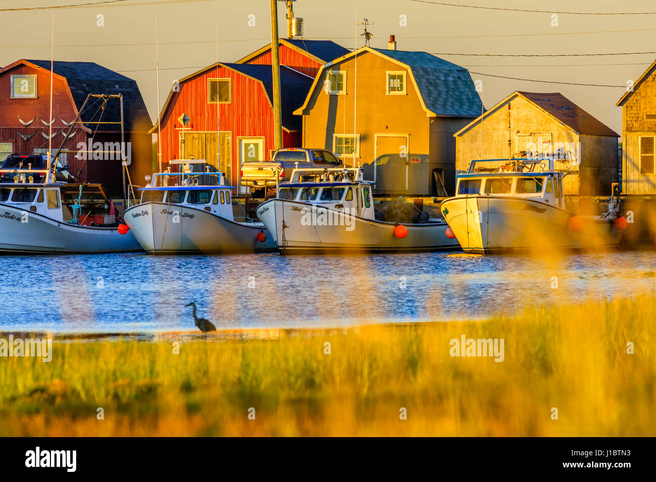 Malpeque Harbor in Prince Edward Island, Canada Stock Photo - Alamy
