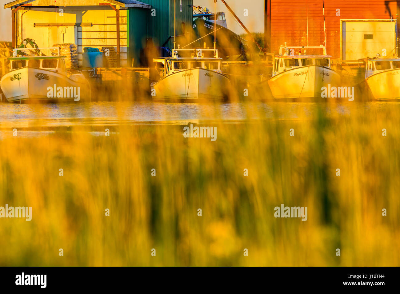 Malpeque Harbor in Prince Edward Island, Canada Stock Photo - Alamy