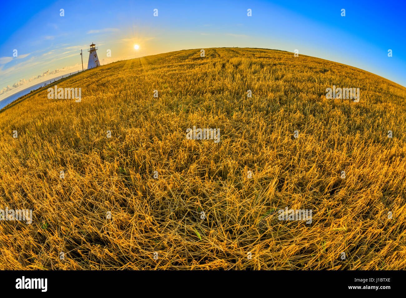 Cape tryon lighthouse hi-res stock photography and images - Alamy
