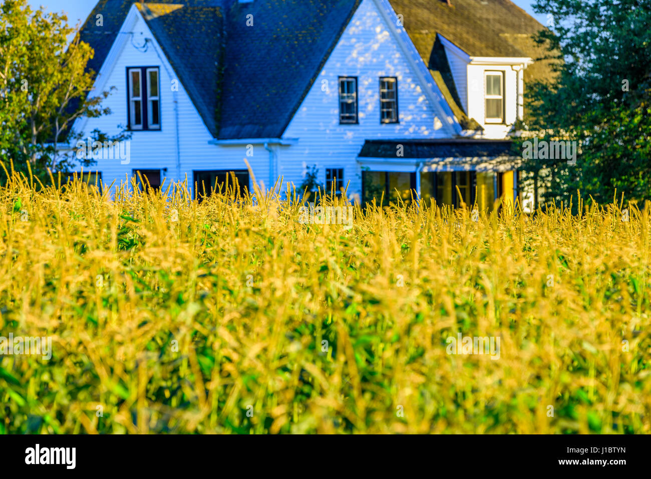 Fresh prince house hi-res stock photography and images - Alamy