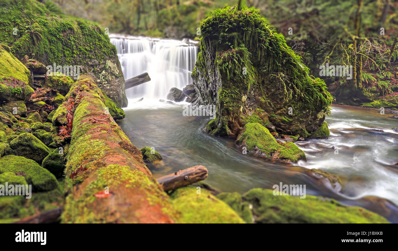 Magic of nature Stock Photo - Alamy