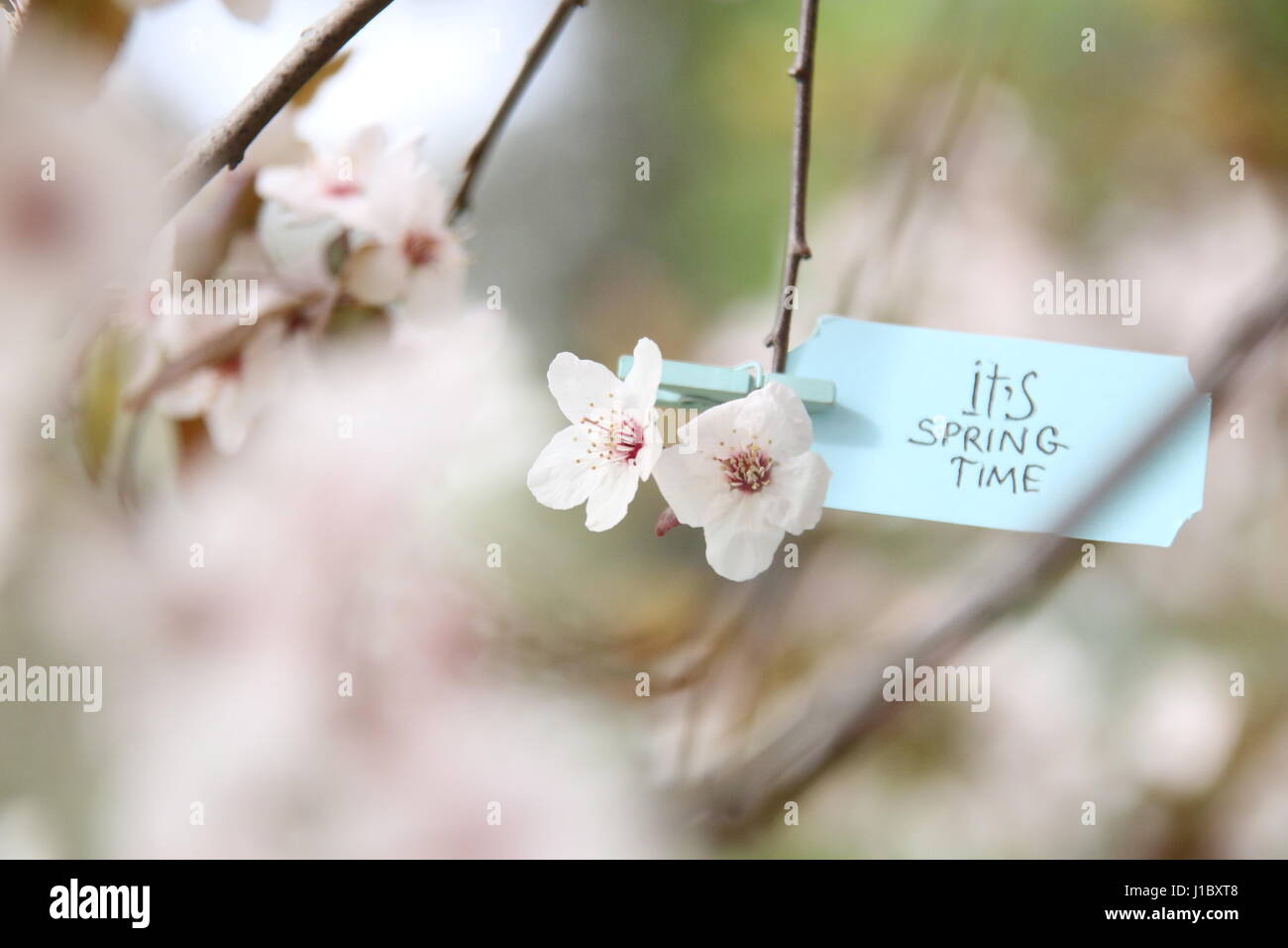 Country concept environment hi-res stock photography and images - Alamy