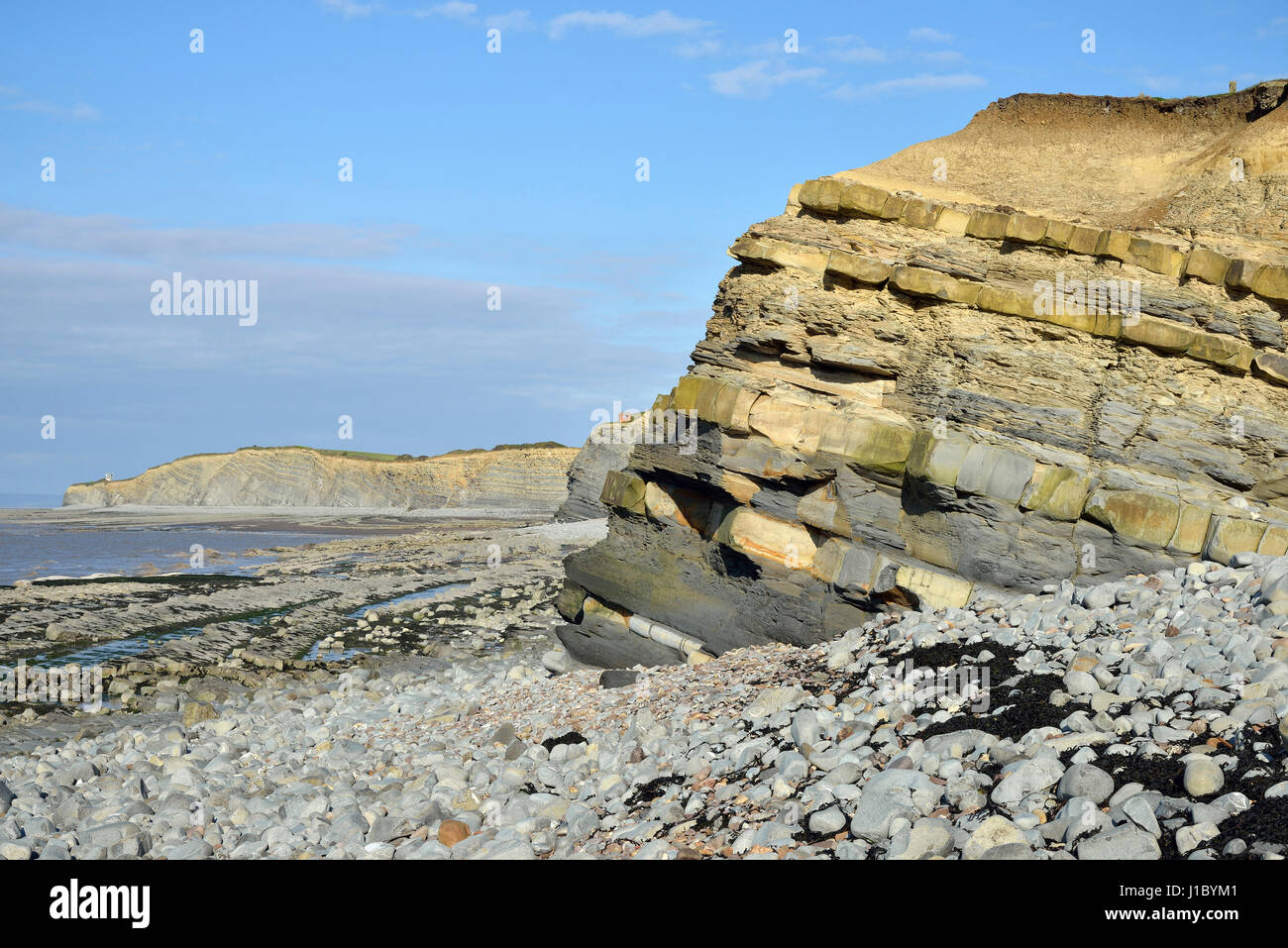 Shale & Lias Cliffs, Kilve Beach, Somerset, England Stock Photo - Alamy