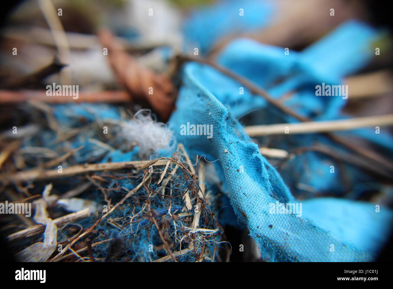 Blue String Macro Stock Photo - Alamy