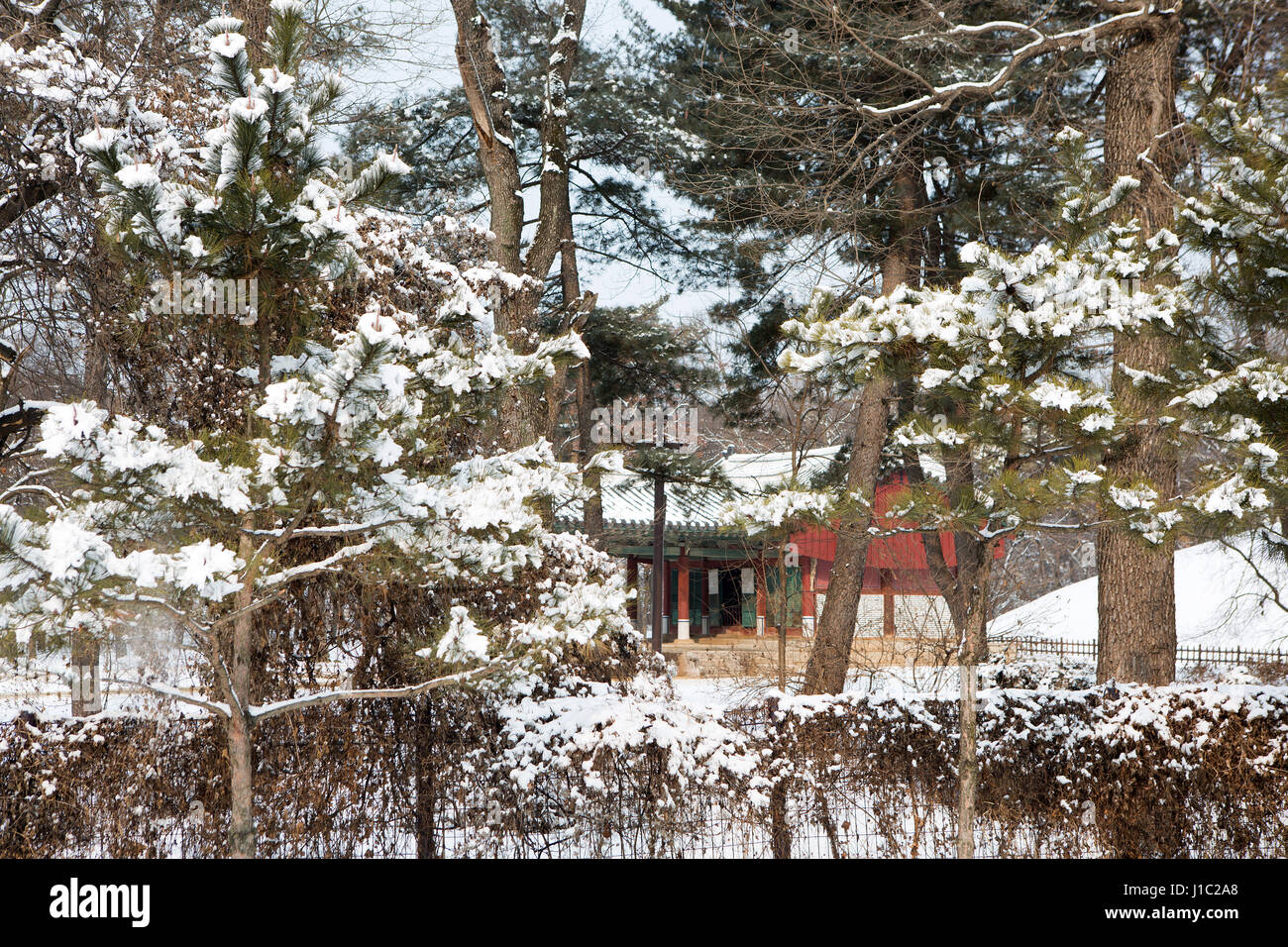 a wintry landscape Stock Photo - Alamy