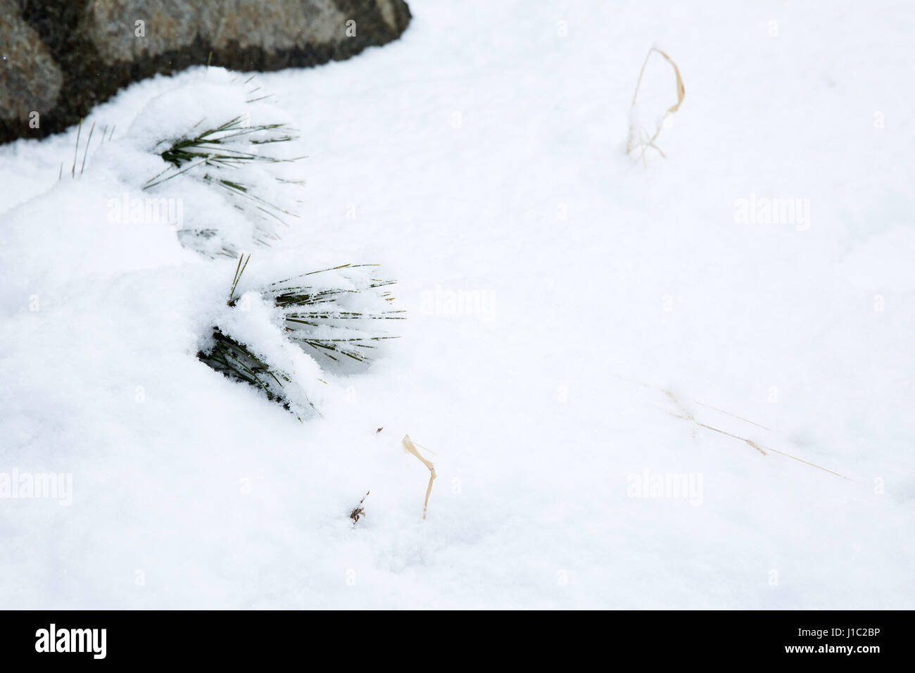 a wintry landscape Stock Photo - Alamy