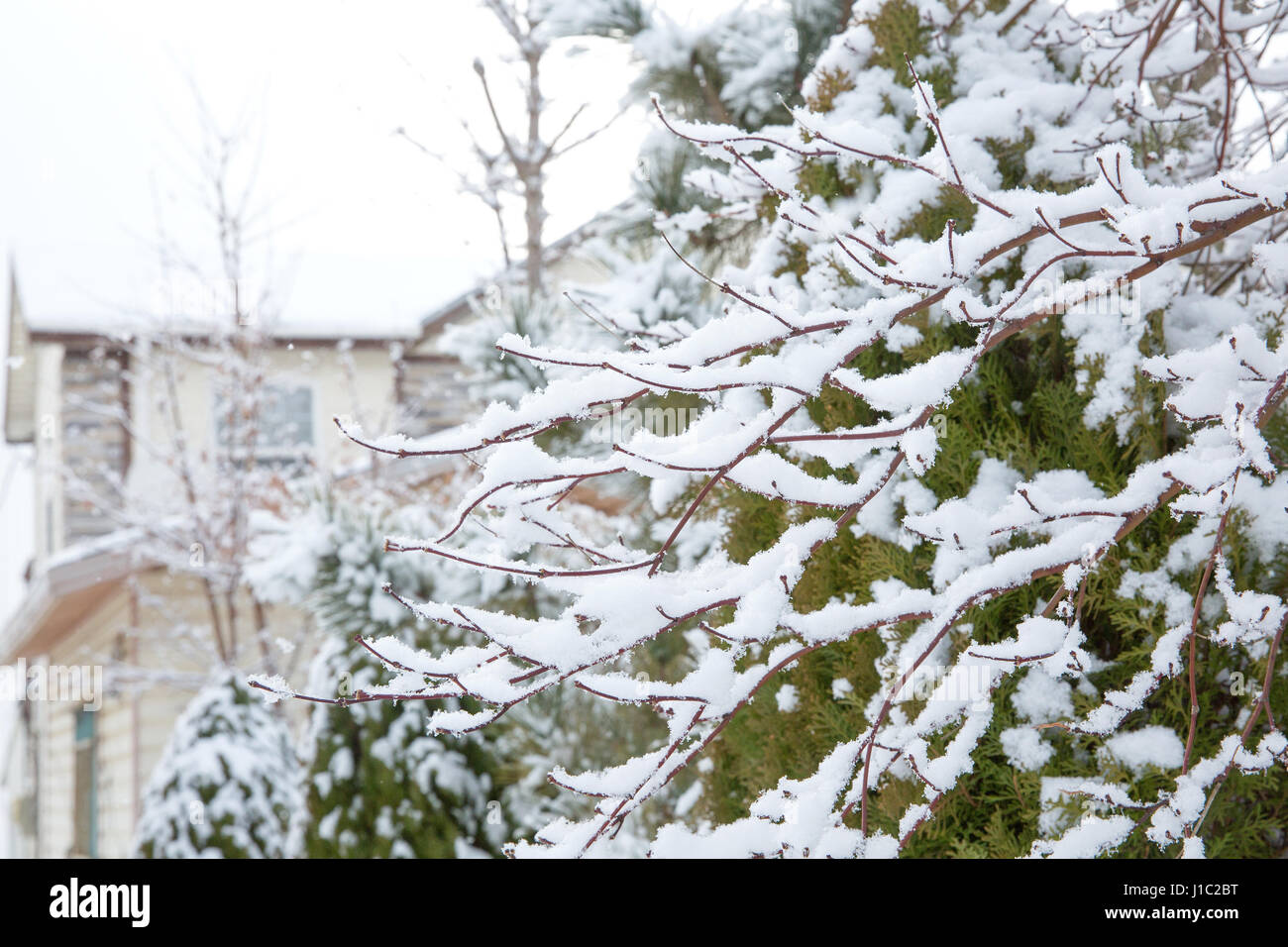 a wintry landscape Stock Photo - Alamy