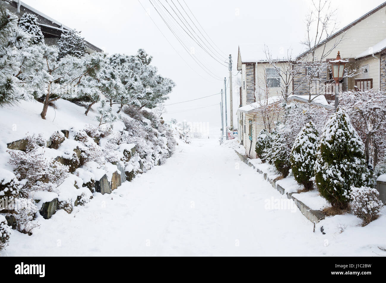 a wintry landscape Stock Photo - Alamy