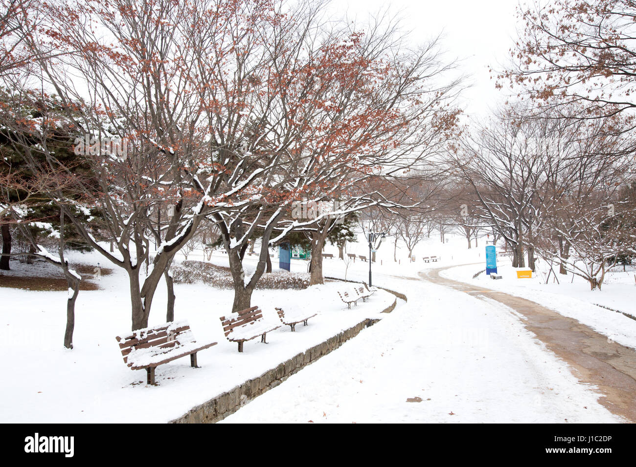 a wintry landscape Stock Photo - Alamy