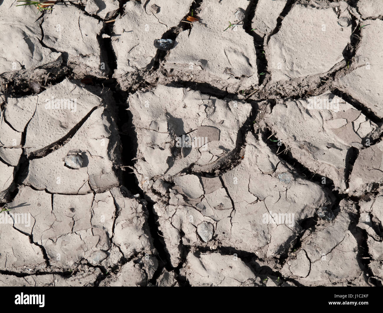 Dry cracked soil in the countryside due to shortage of rainfall Stock ...