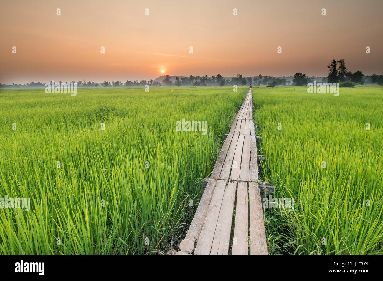 Fields and bridges Stock Photo - Alamy