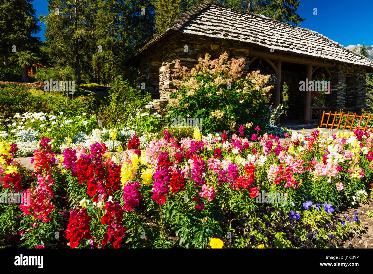 Cascade gardens banff national park hi-res stock photography and images ...