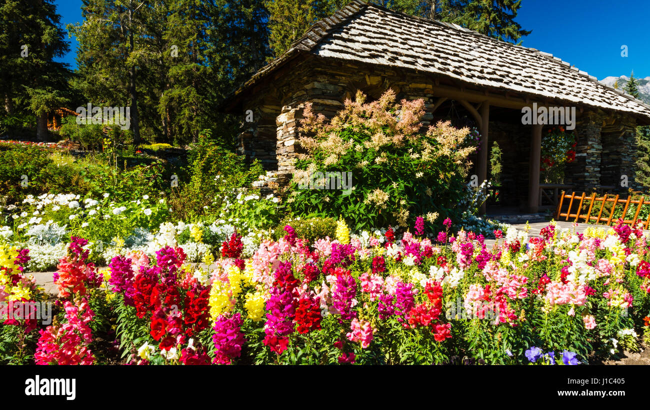 Flowers and gazebo at Cascade Gardens, Banff National Park, Alberta ...