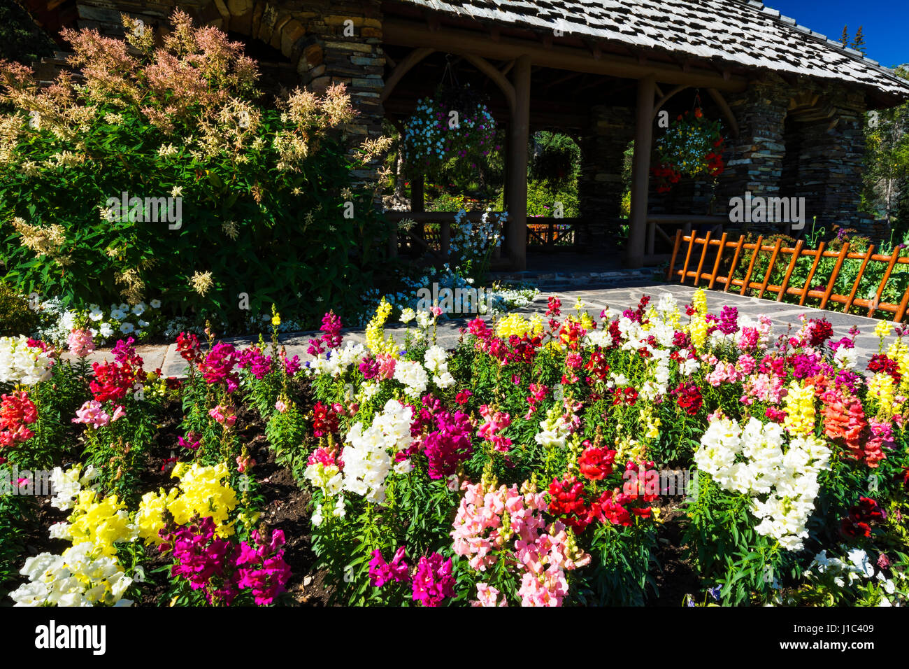 Flowers and gazebo at Cascade Gardens, Banff National Park, Alberta ...