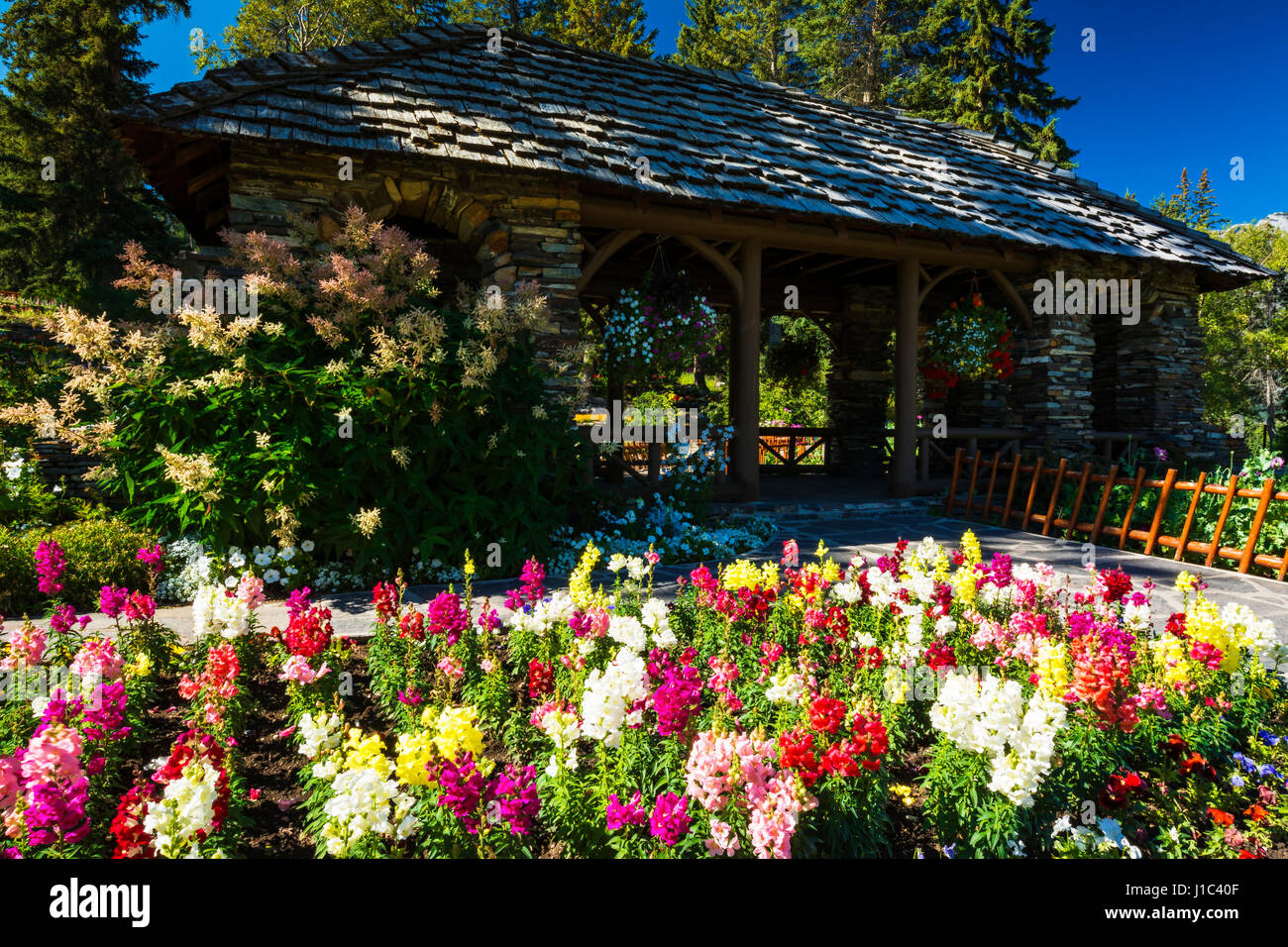 Flowers and gazebo at Cascade Gardens, Banff National Park, Alberta ...