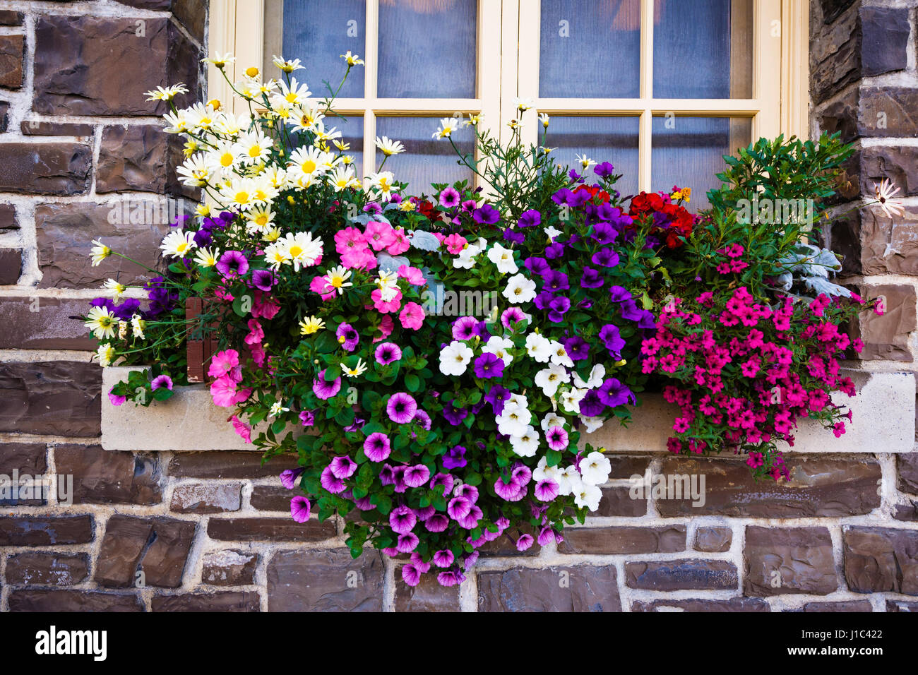 Sulpher mountain hot springs hi-res stock photography and images - Alamy