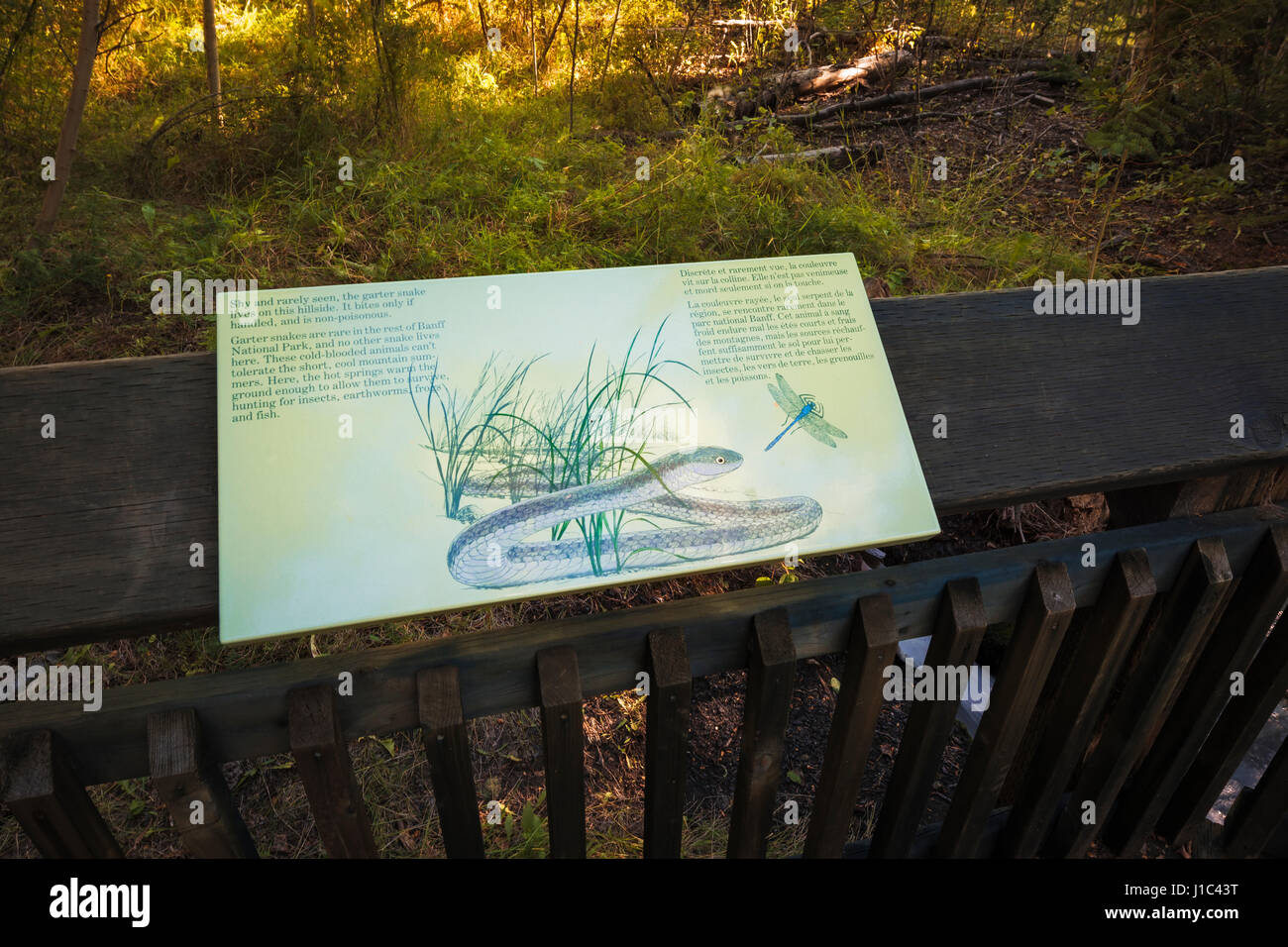 Interpretive sign at Cave and Basin National Historic Site, Banff ...