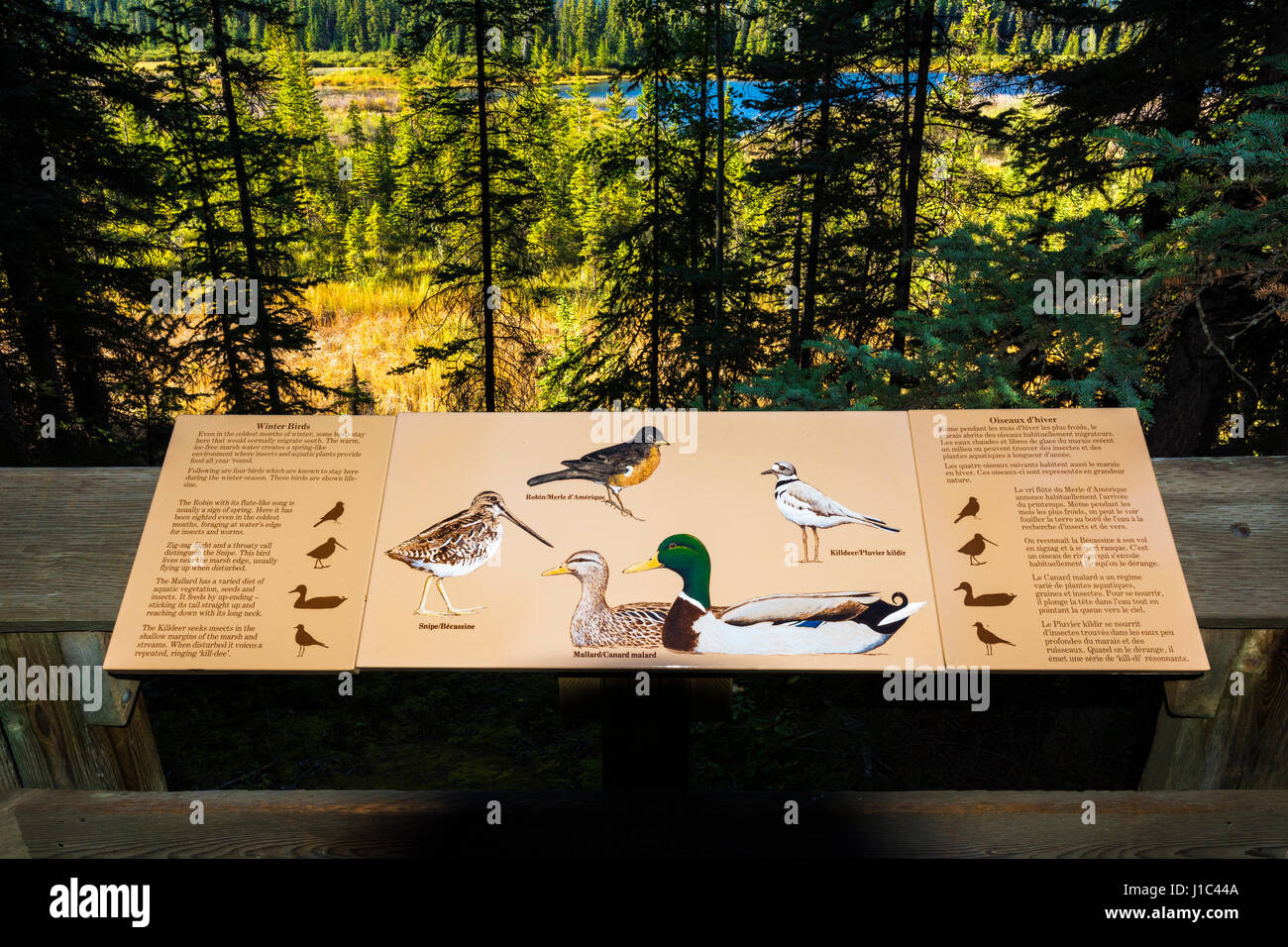 Interpretive sign at Cave and Basin National Historic Site, Banff ...