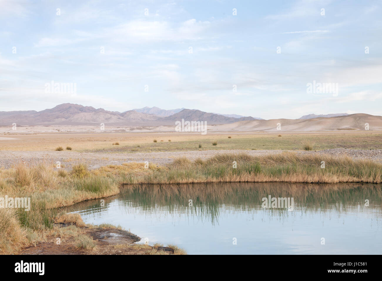 Tecopa desert hi-res stock photography and images - Alamy