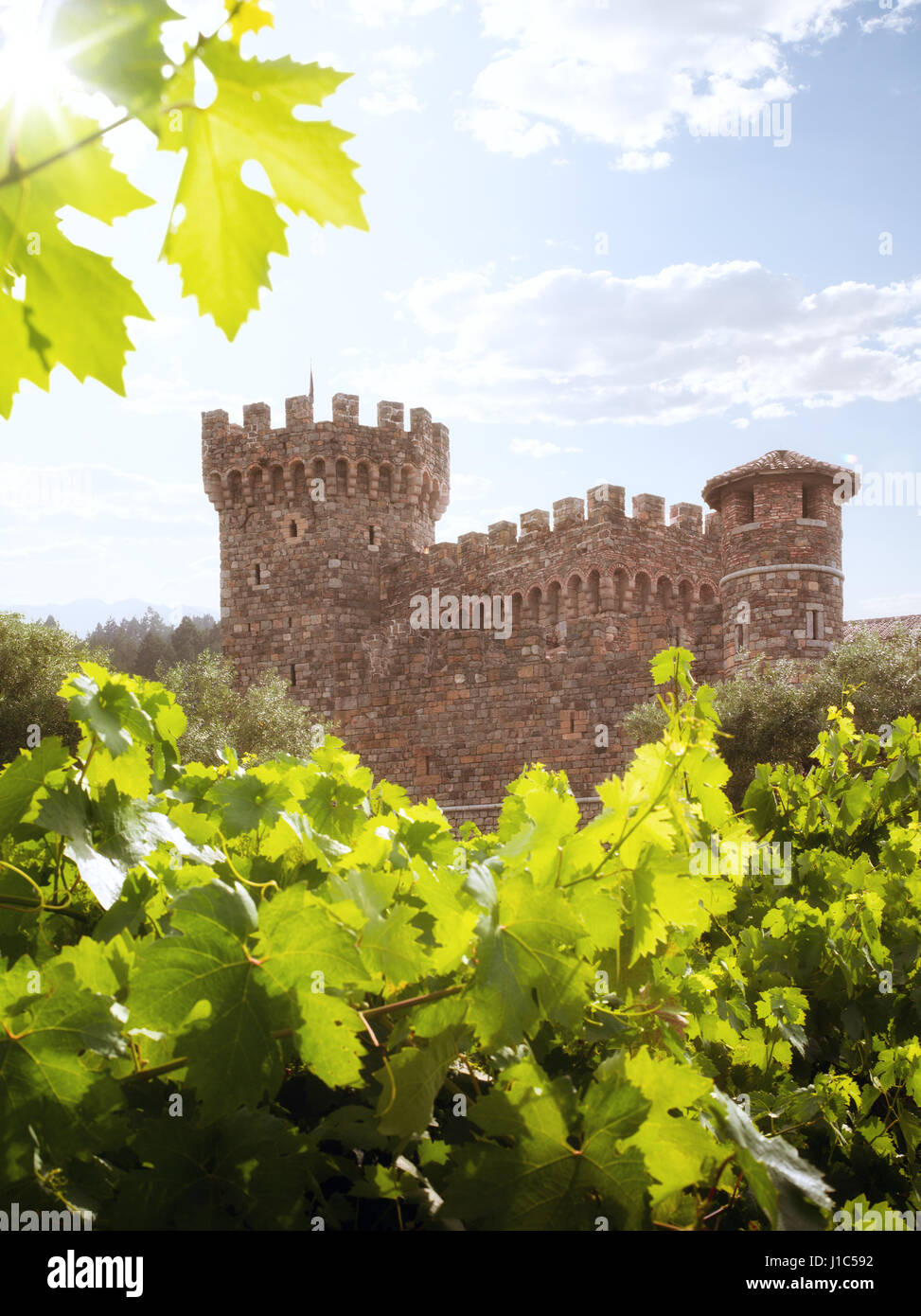 Napa Castle High Resolution Stock Photography and Images - Alamy