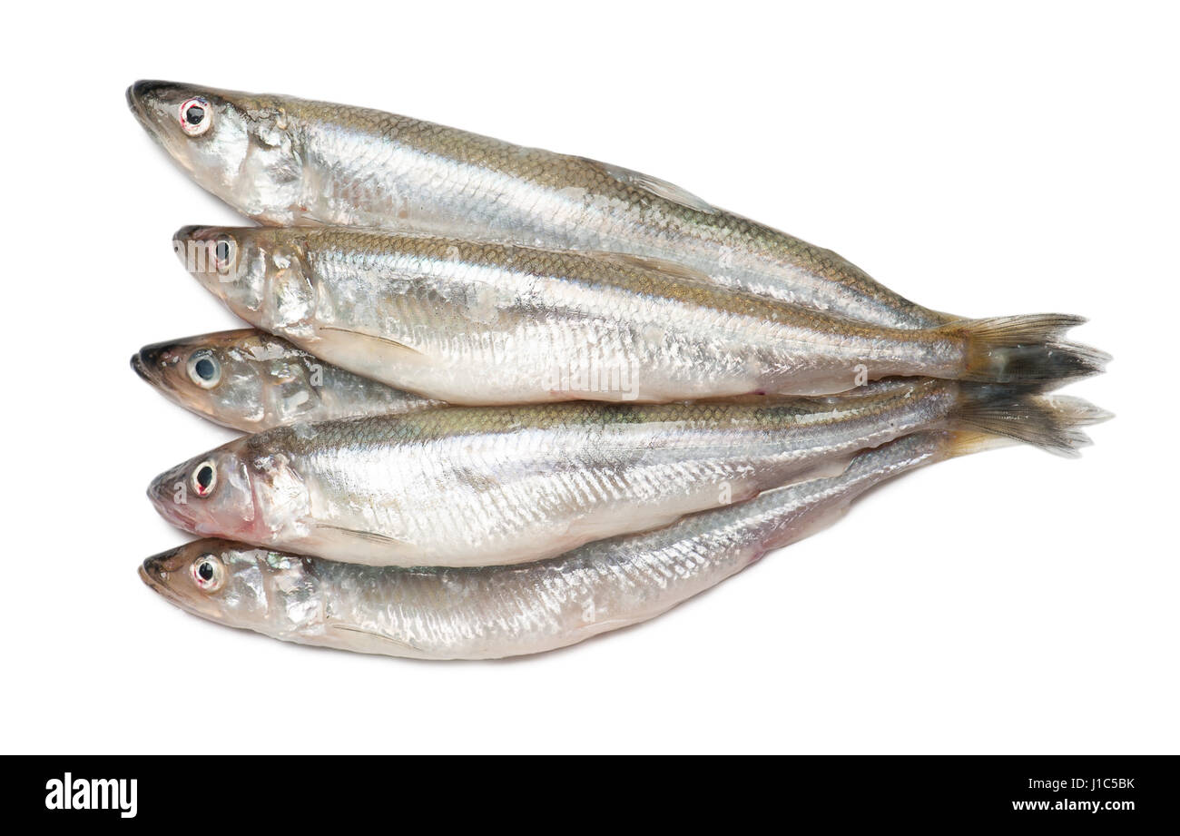 Smelt fishes isolated on white background Stock Photo - Alamy