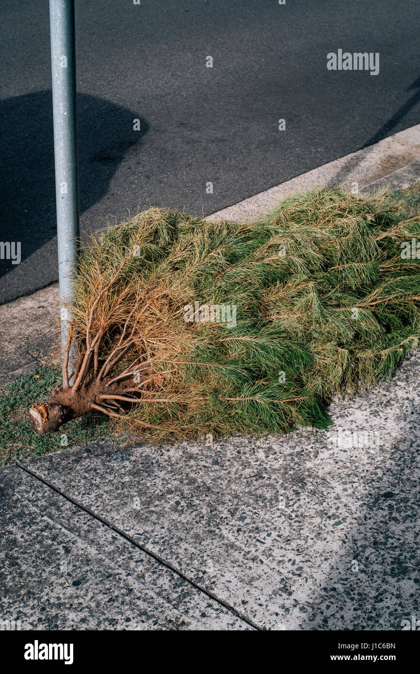 Laying sidewalk hi-res stock photography and images - Alamy