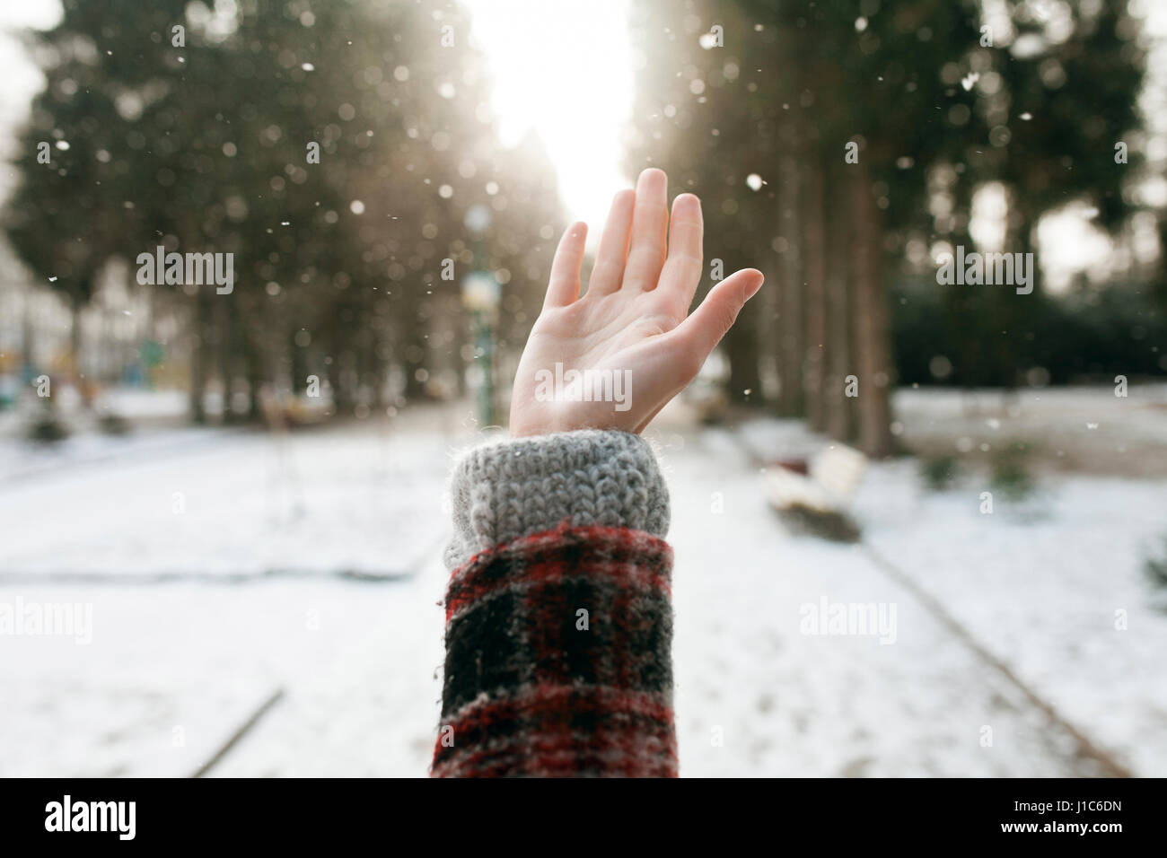 Hand of Caucasian woman catching falling snow Stock Photo - Alamy