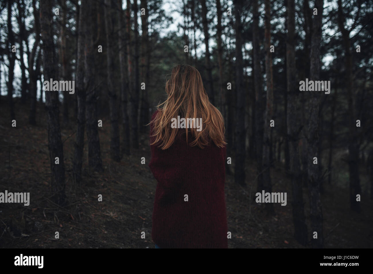 Caucasian woman standing in forest Stock Photo - Alamy