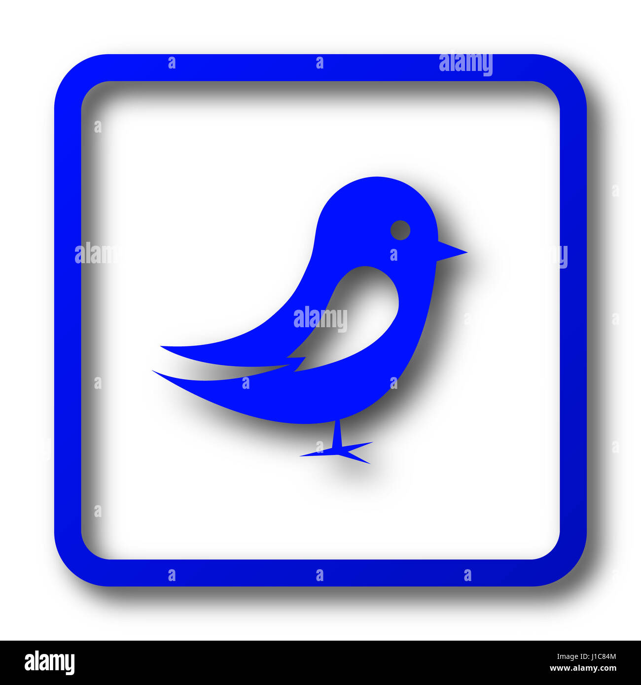 Bird icon. Bird website button on white background Stock Photo - Alamy