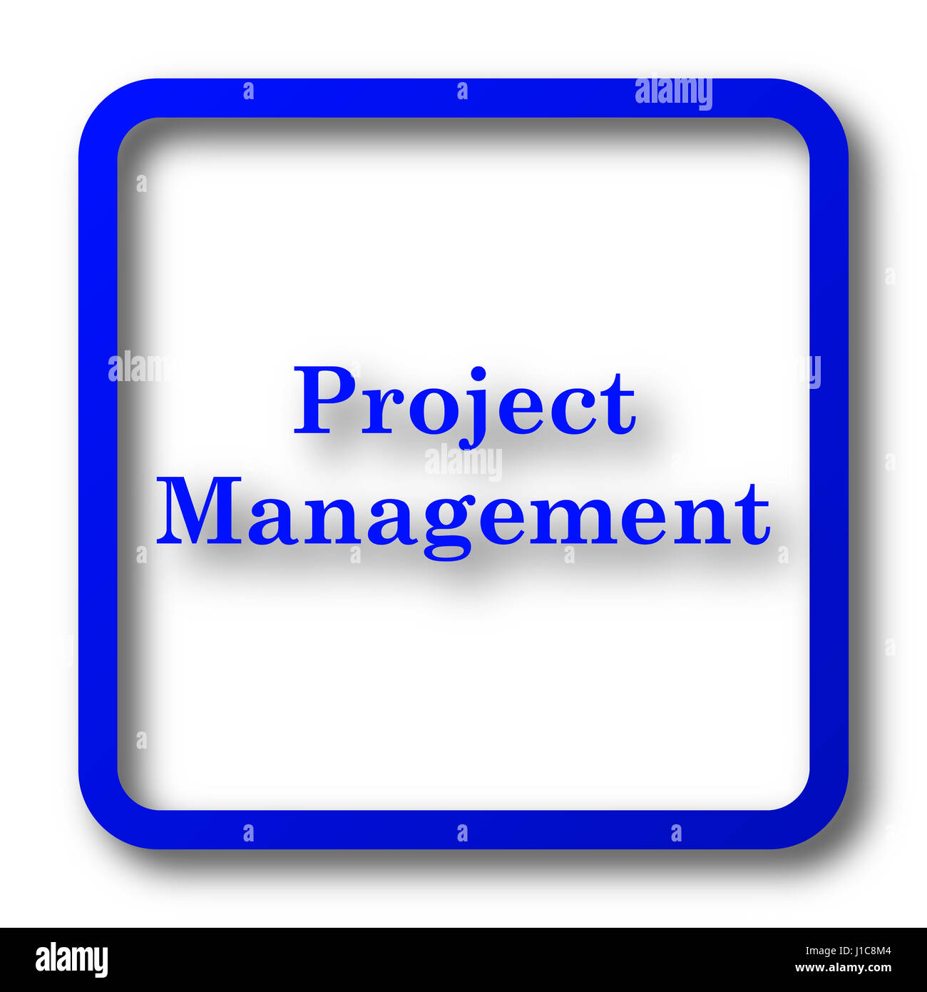 Project management icon. Project management website button on white ...