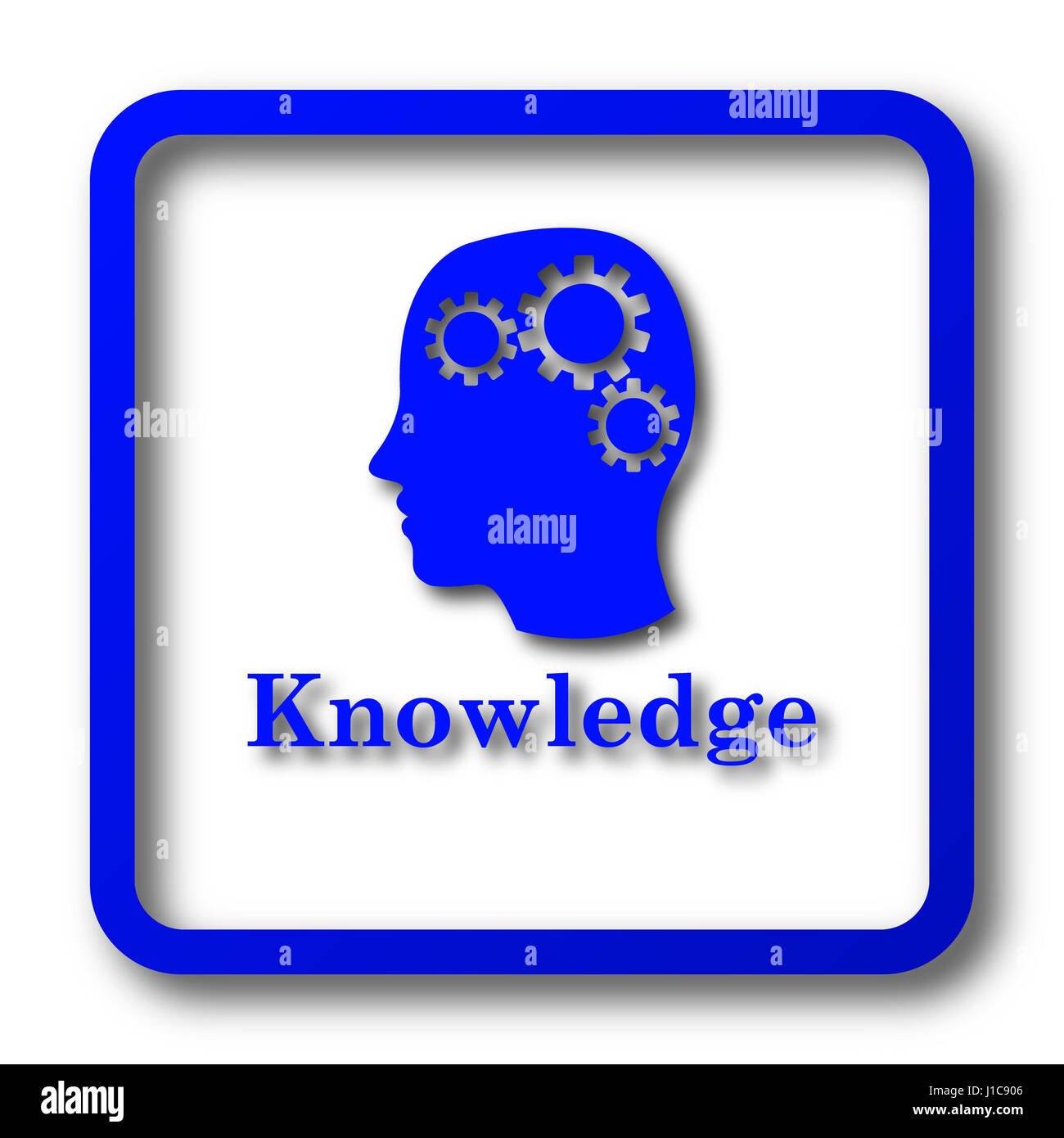 Knowledge icon. Knowledge website button on white background Stock ...
