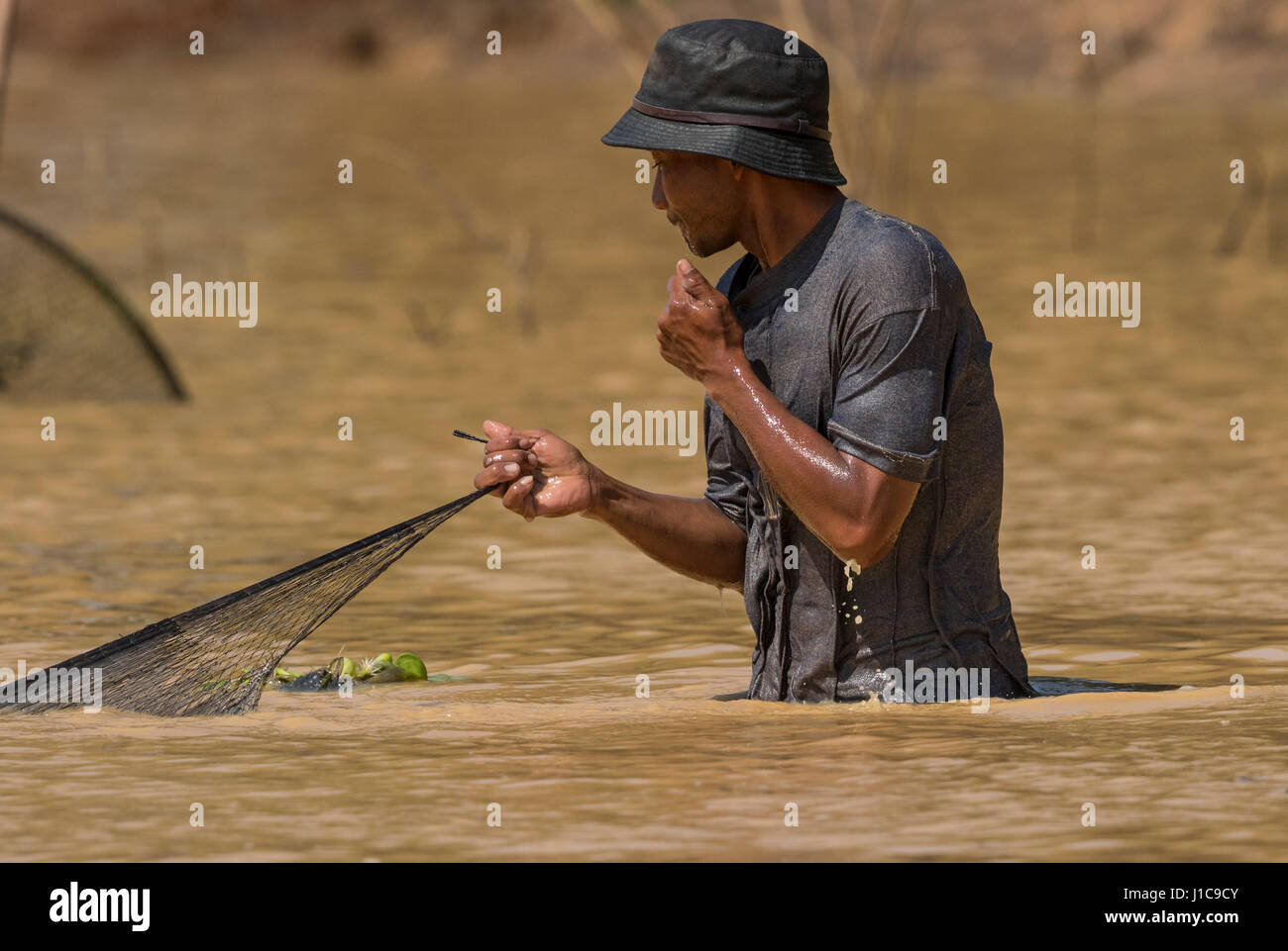 Fisherman fishing in the Sangker river, Prek Toal, Cambodia Stock Photo ...