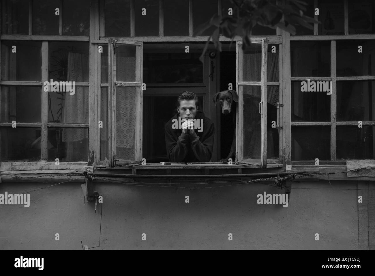 Caucasian man leaning in window with dog Stock Photo - Alamy