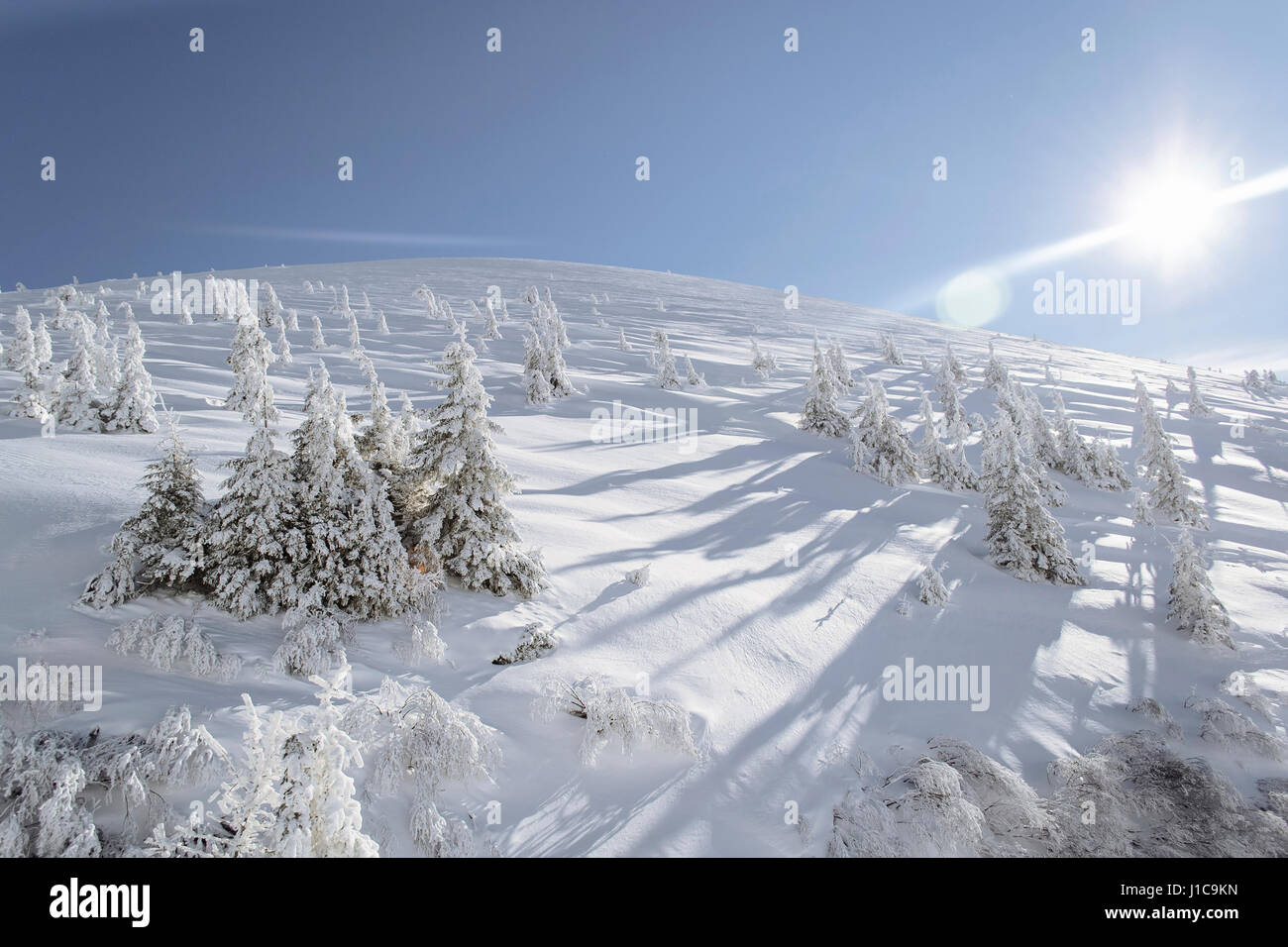 Snow on sunny mountain Stock Photo - Alamy