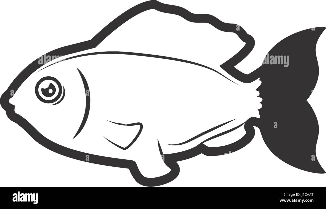 Fish sea animal symbol Stock Vector Image & Art - Alamy